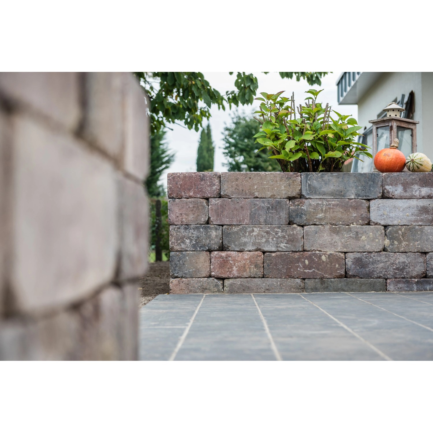 Diephaus Mauerstein Collo Herbstlaub 42 x 21 x 14 cm kaufen bei OBI