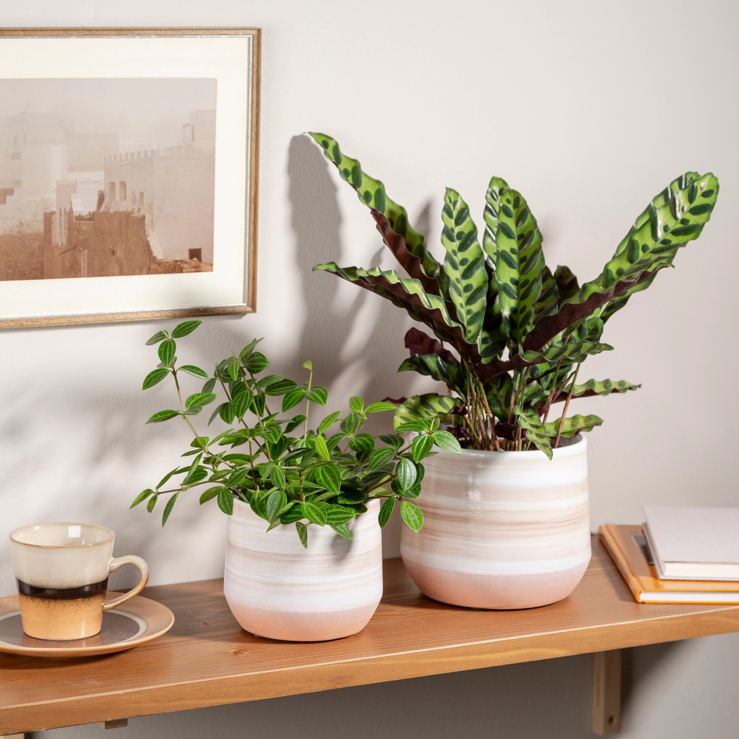 Scheurich Übertopf Alva 786 Ø 16 cm x 14 cm Stein Hell kaufen bei OBI