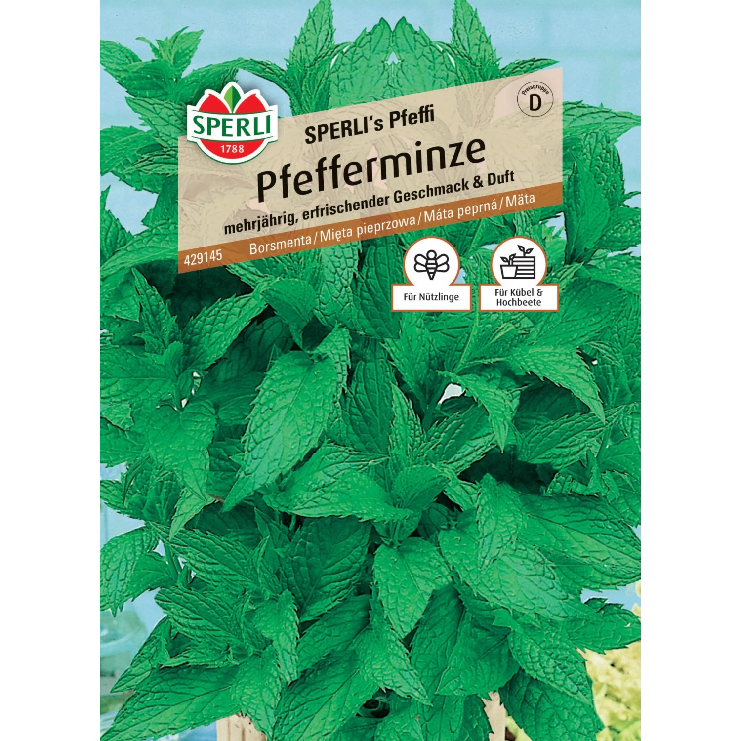 Sperli Pfefferminze "Sperli's Pfeffi" kaufen bei OBI