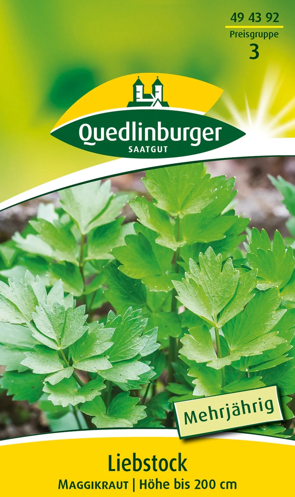 Maggikraut Pflanze Kaufen