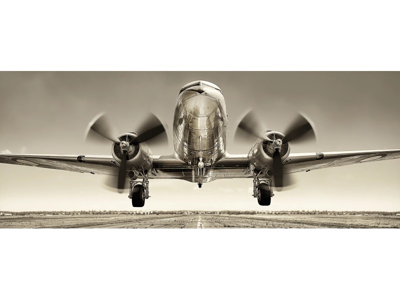 Plane kaufen bei OBI