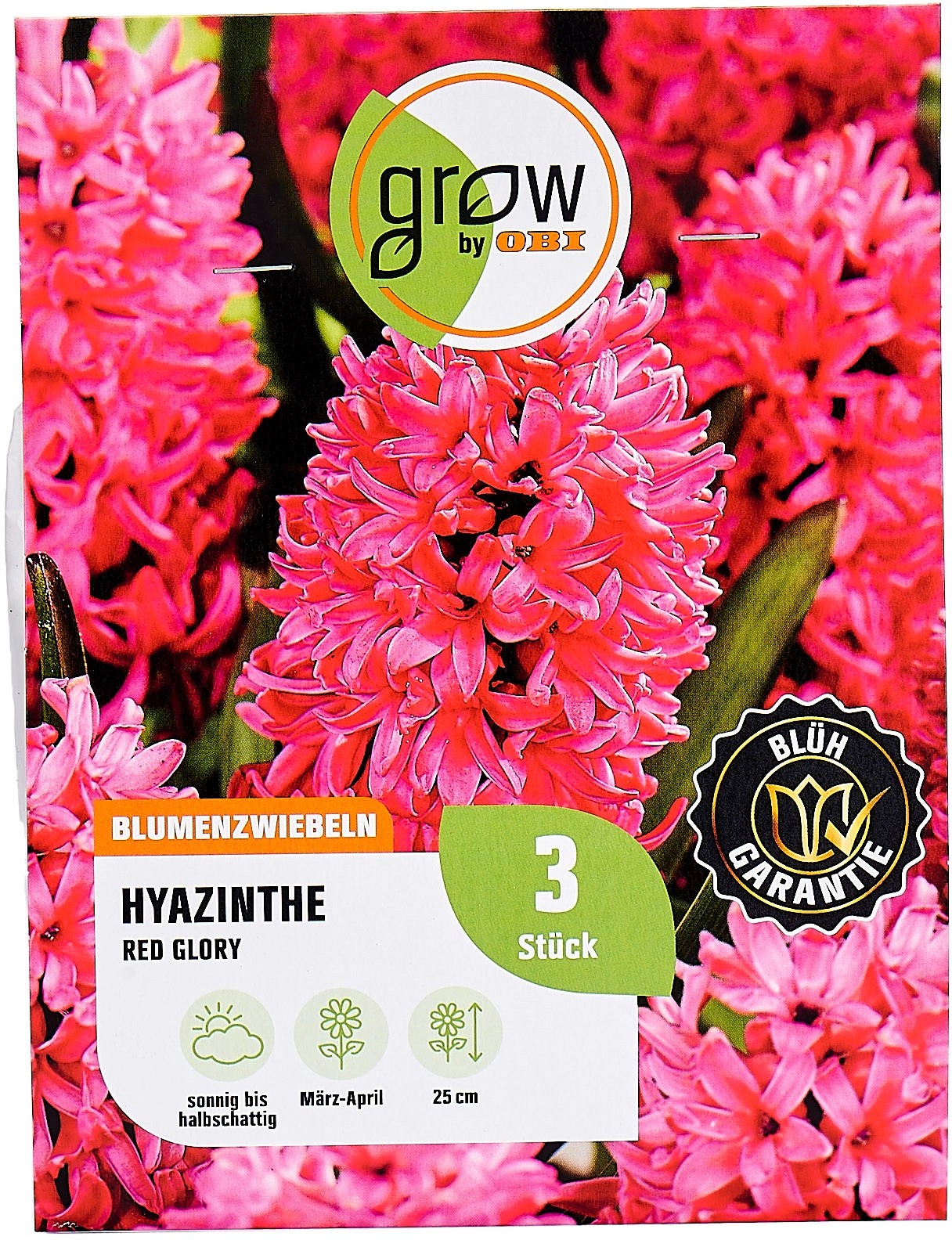 GROW by OBI Hyazinthen-Blumenzwiebel Pink "Red Glory" 3 Stück Hyacinthus kaufen bei OBI