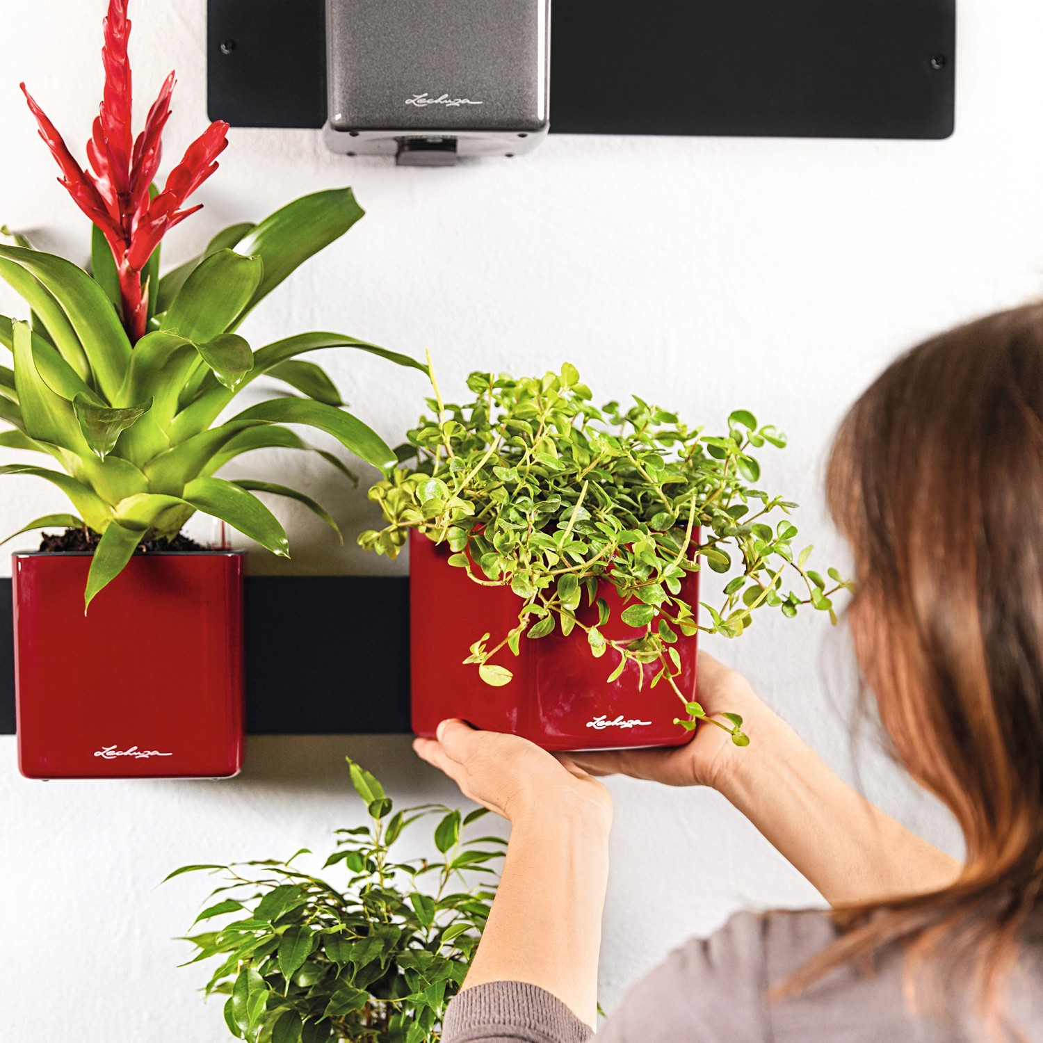 Lechuza Magnethalter Schwarz 4 cm x 6 cm x 14 cm kaufen bei OBI