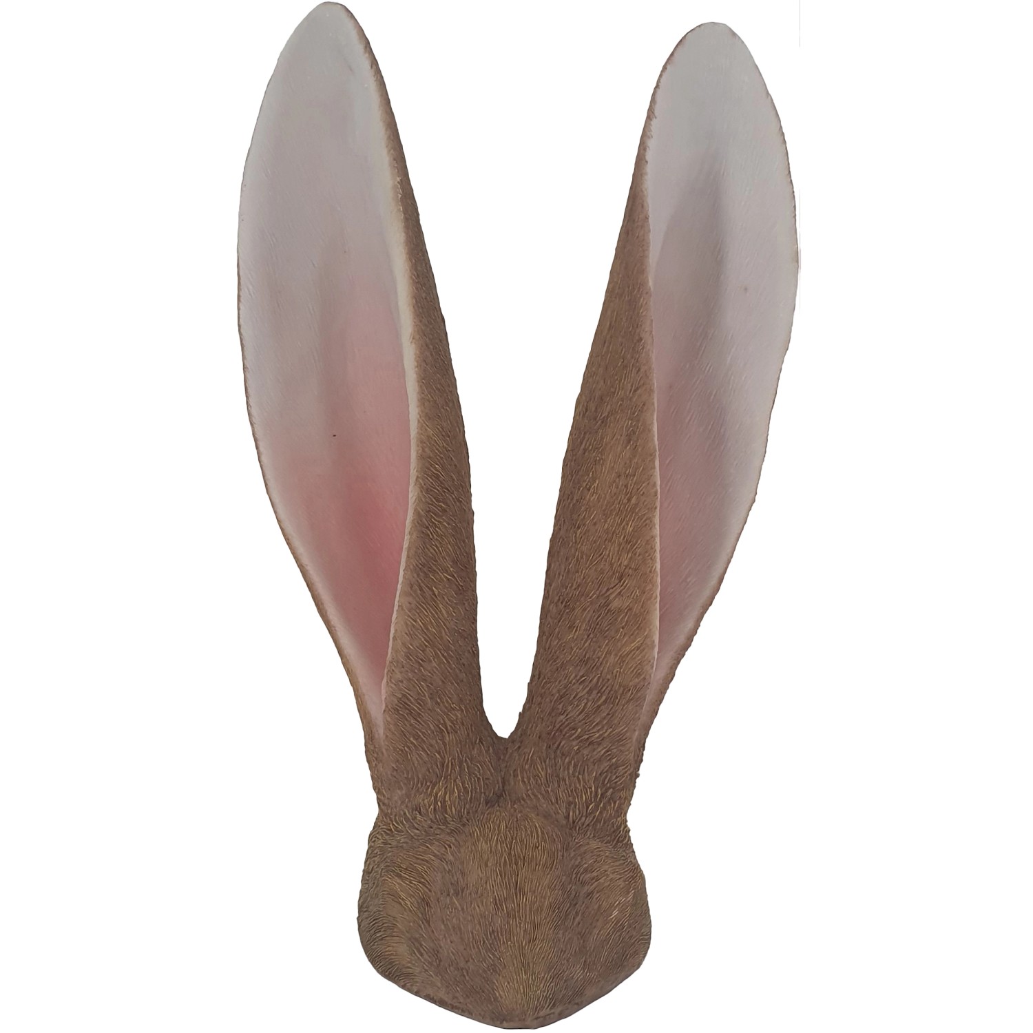 Hasenohren 34 cm kaufen bei OBI