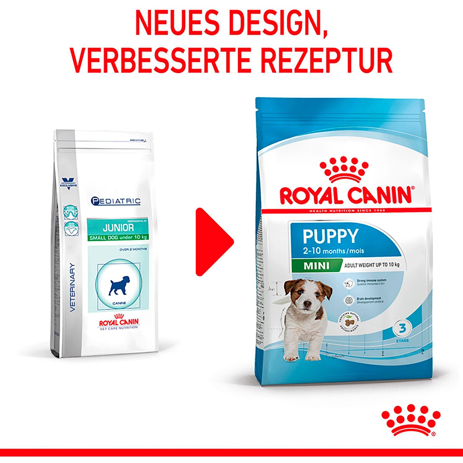 Royal Canin Hunde-Trockenfutter Mini Puppy für Welpen kleiner ...