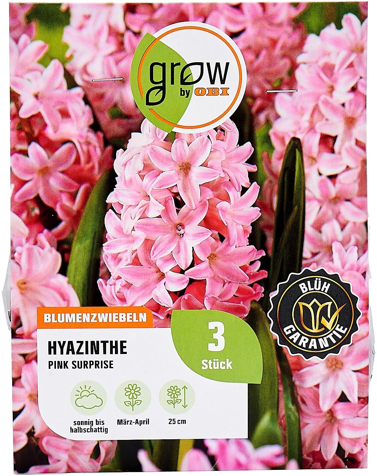 GROW by OBI Hyazinthen Pink "Surprise" 3 Stück Hyacinthus kaufen bei OBI