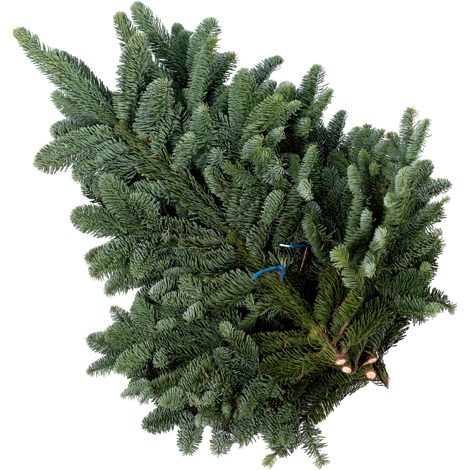 Tannenzweige Edeltanne 2,5 kg Bund Nobilis kaufen bei OBI