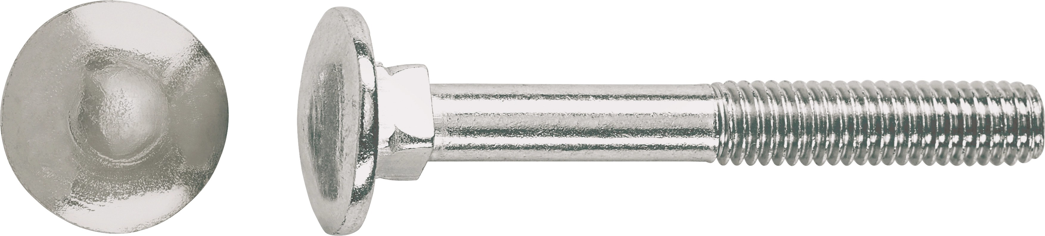 Schlossschraube M8 x 60 mm Edelstahl A2 5 Stück kaufen bei OBI