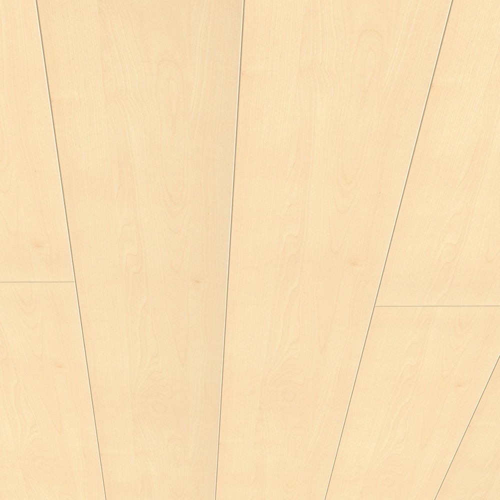 OBI Paneele "Excellent" Arktik Birke kaufen bei OBI