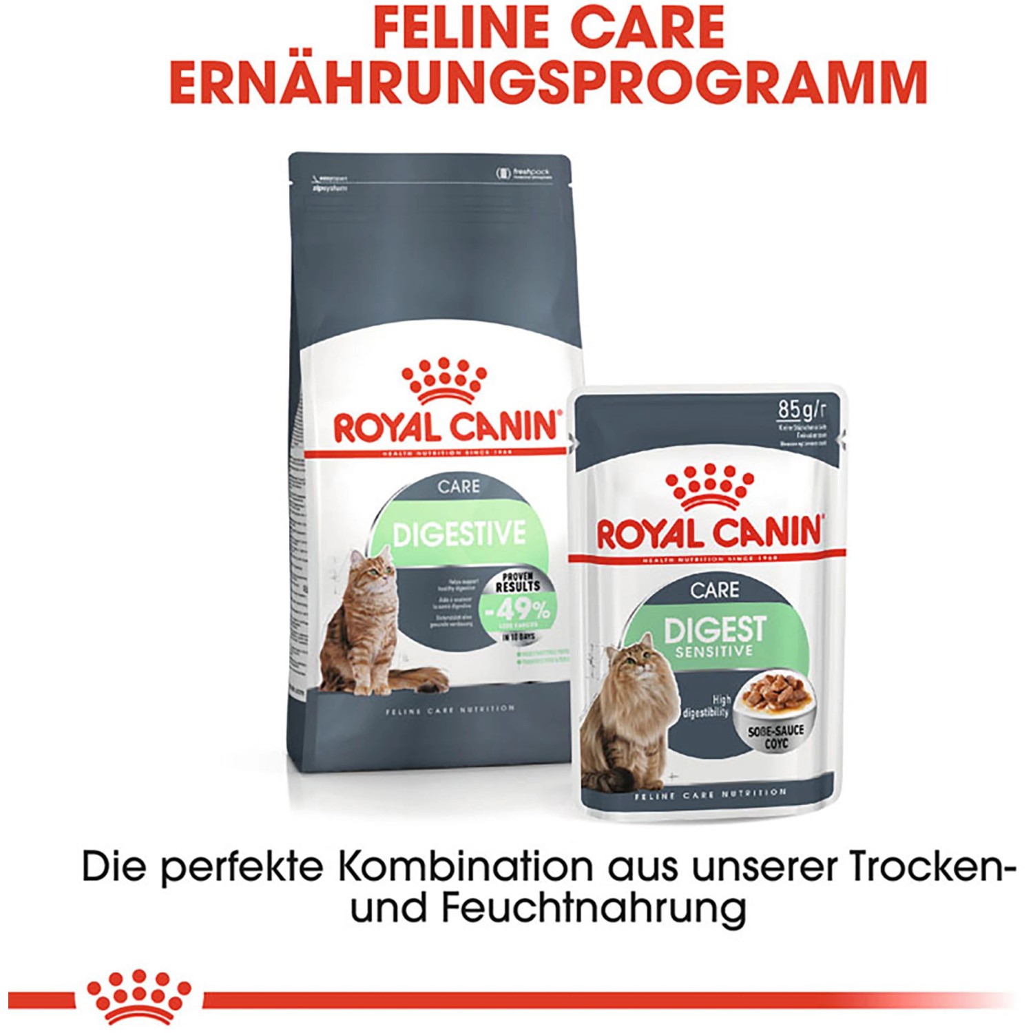 Royal Canin Katzen-Trockenfutter Digestive Care für empfindliche ...
