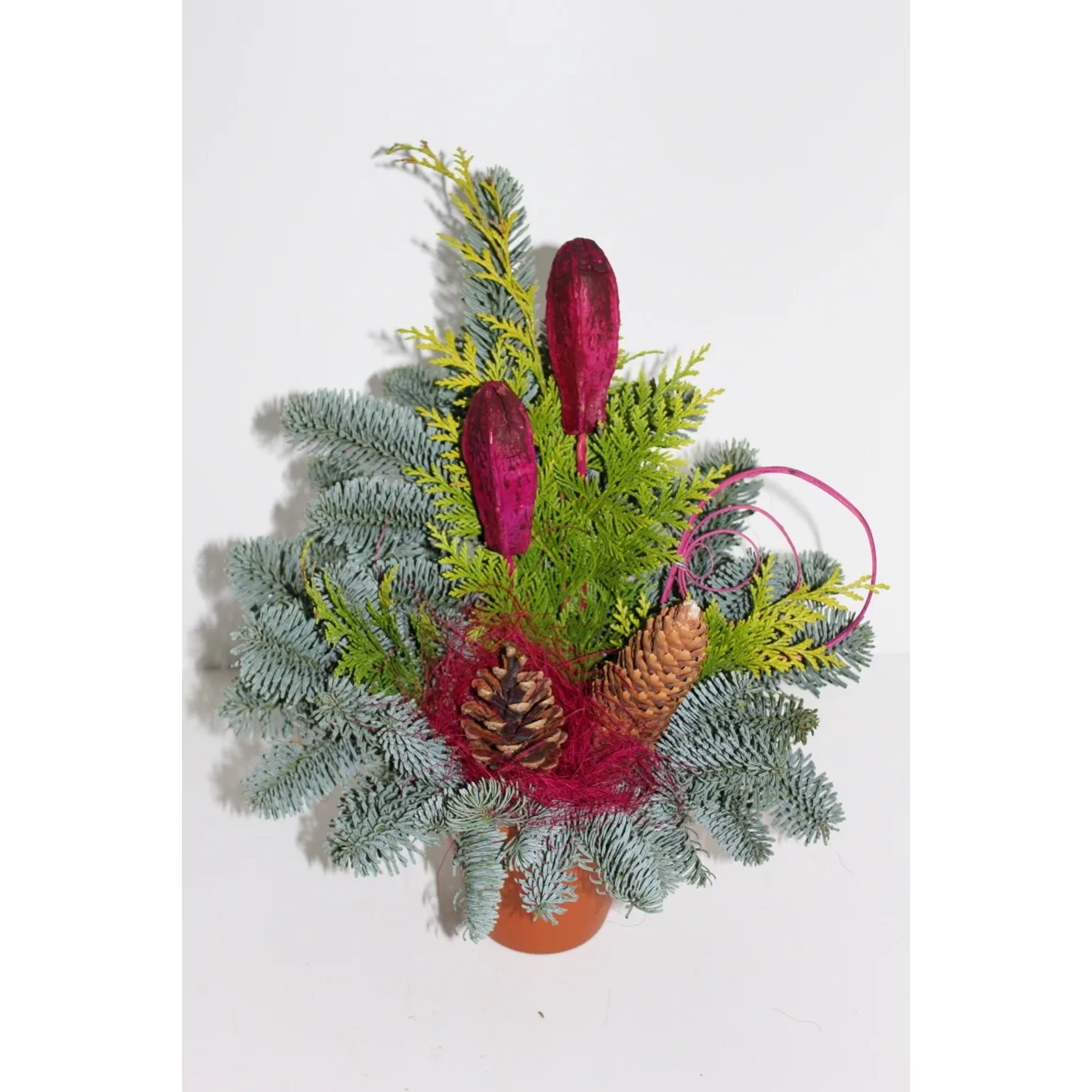 Waldtopf Nobilis Topf ca. 12 cm Erika kaufen bei OBI