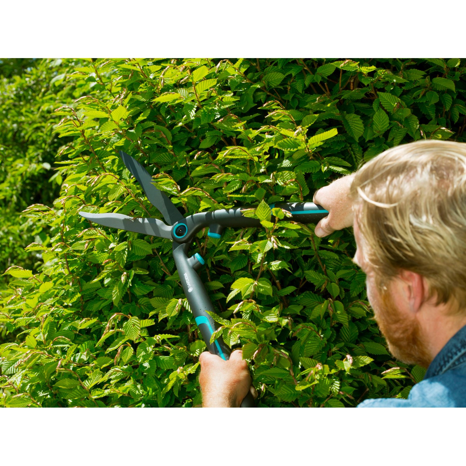 Gardena Heckenschere Easy-Cut 20 cm Messerlänge kaufen bei OBI