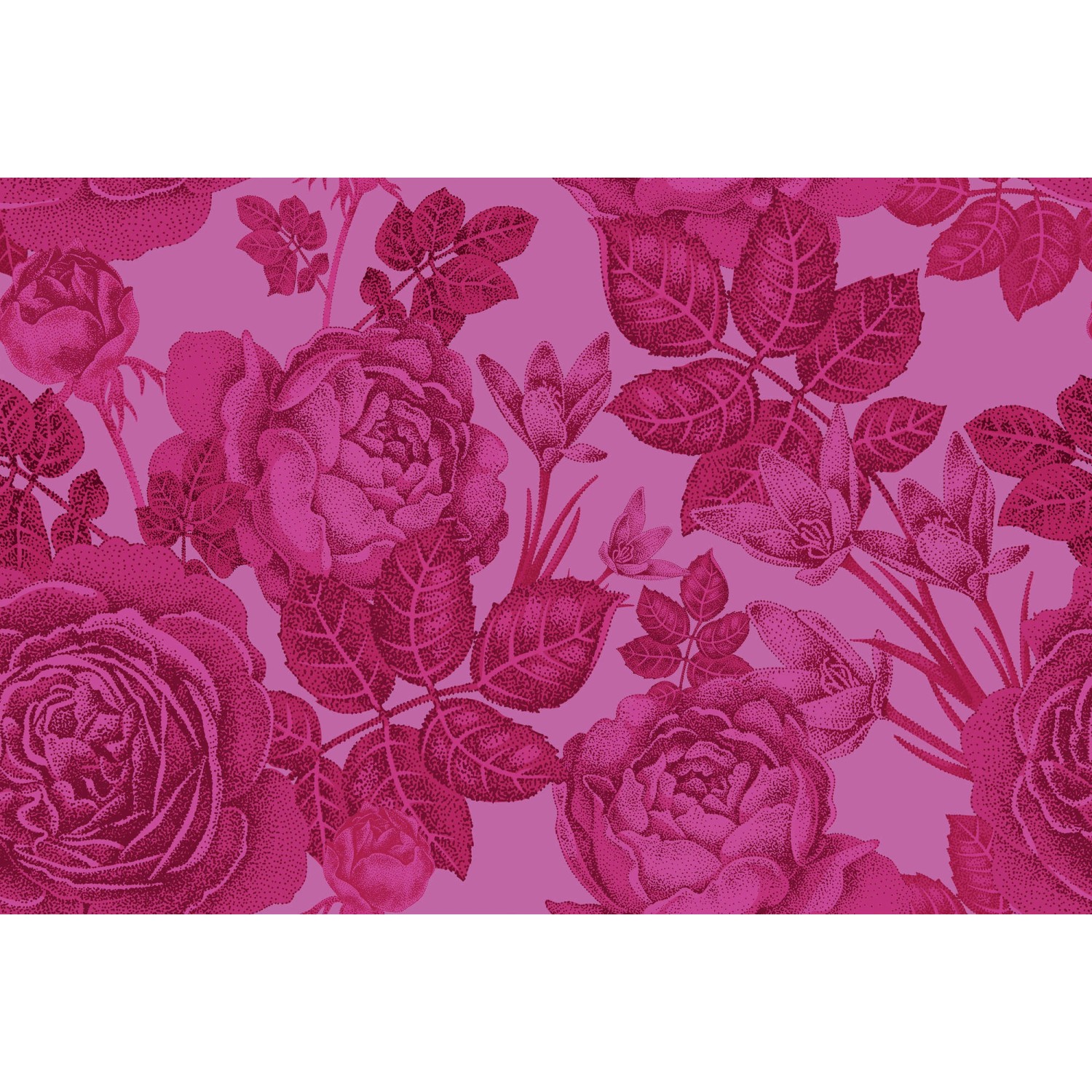 Fototapete Blumen Rosen Pink Rot 4,00 m x 2,70 m FSC® kaufen bei OBI
