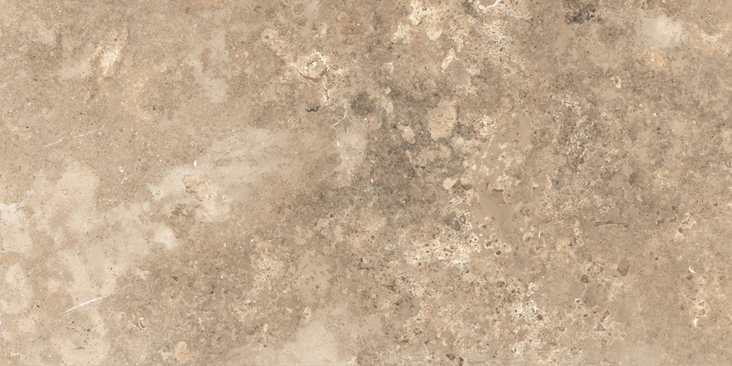 Bodenfliese Feinsteinzeug Creme Matt Rektifizierung 60 cm x 30 cm ...