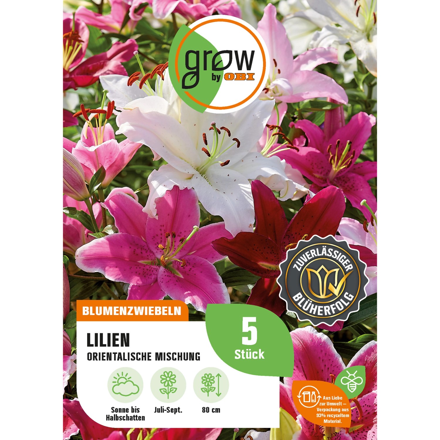 GROW by OBI Lilien Mischung Höhe ca. 80 cm Lilium oriental kaufen bei OBI