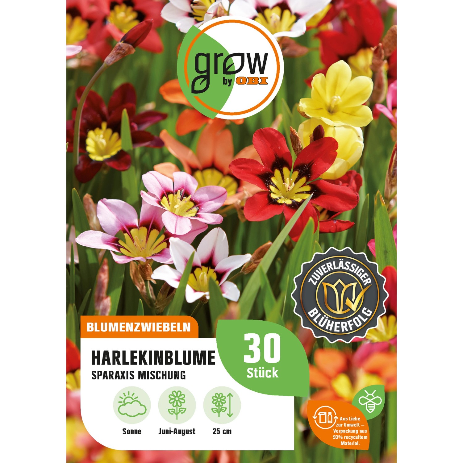 GROW by OBI Harlekinblume "Tricolor-Mischung" Höhe 25 cm Sparaxis ...