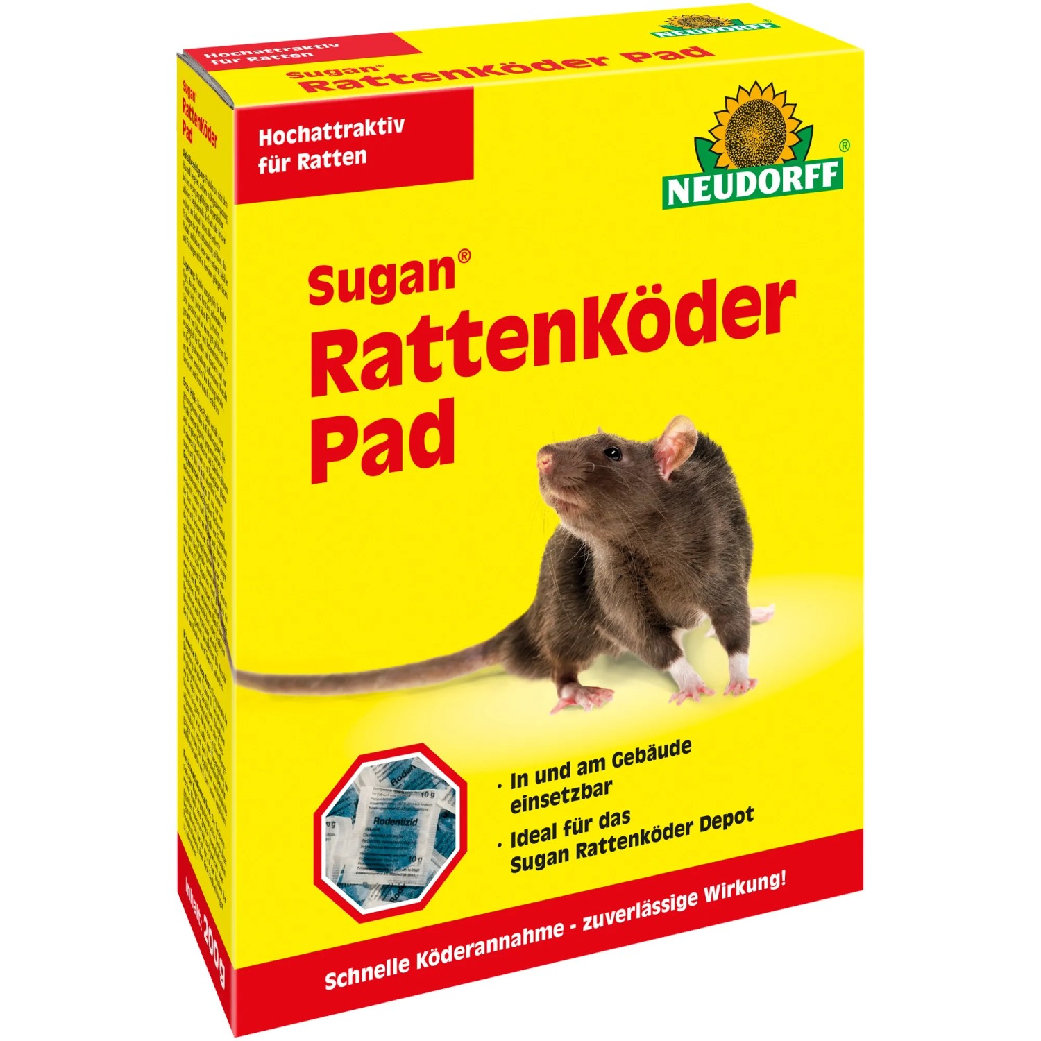 Rattengift Auslegen Trotz Hund