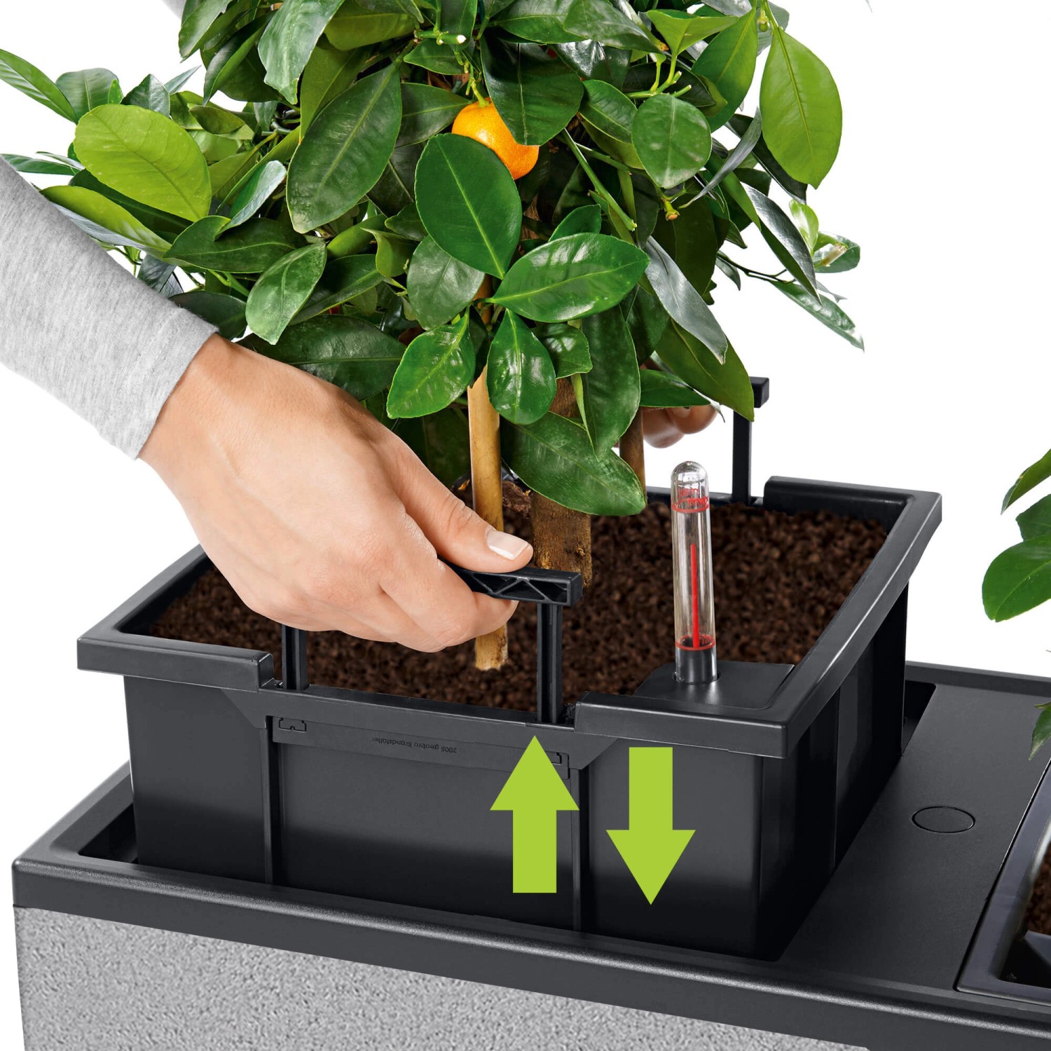 Lechuza Pflanzgefäß Trio Stone 40 Steingrau 130 cm x 42 cm kaufen bei OBI