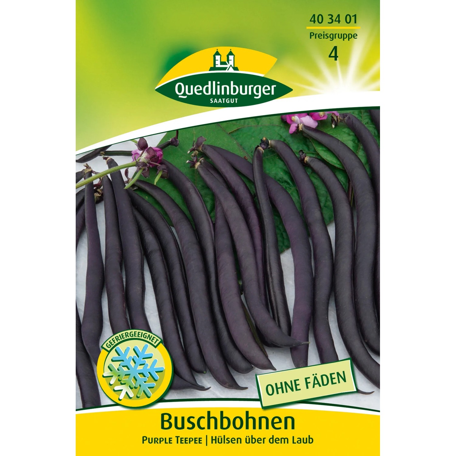 Quedlinburger Buschbohnen ''Purple Teepee'' kaufen bei OBI