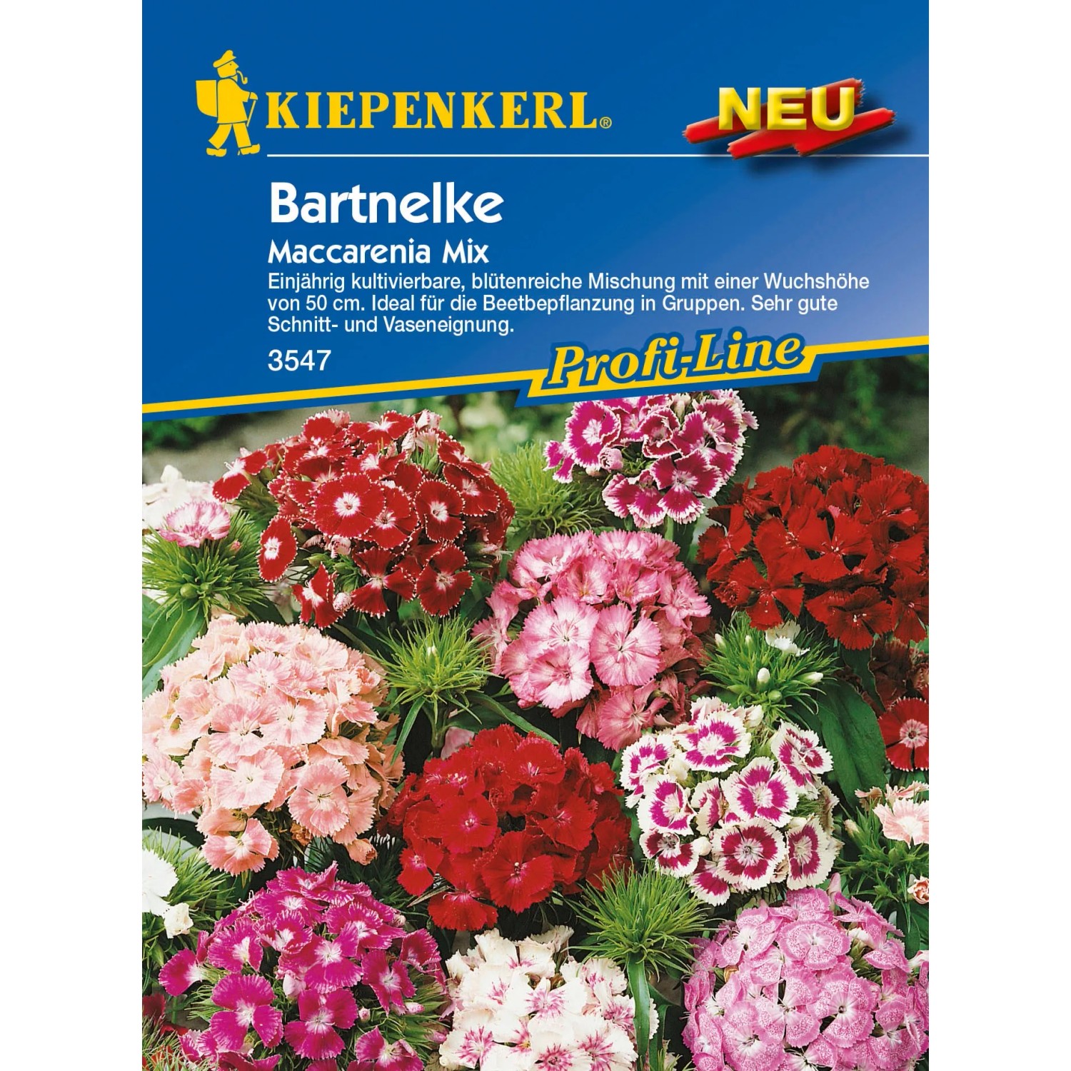 Kiepenkerl Nelke "Maccarenia Mix" Mehrfarbig kaufen bei OBI
