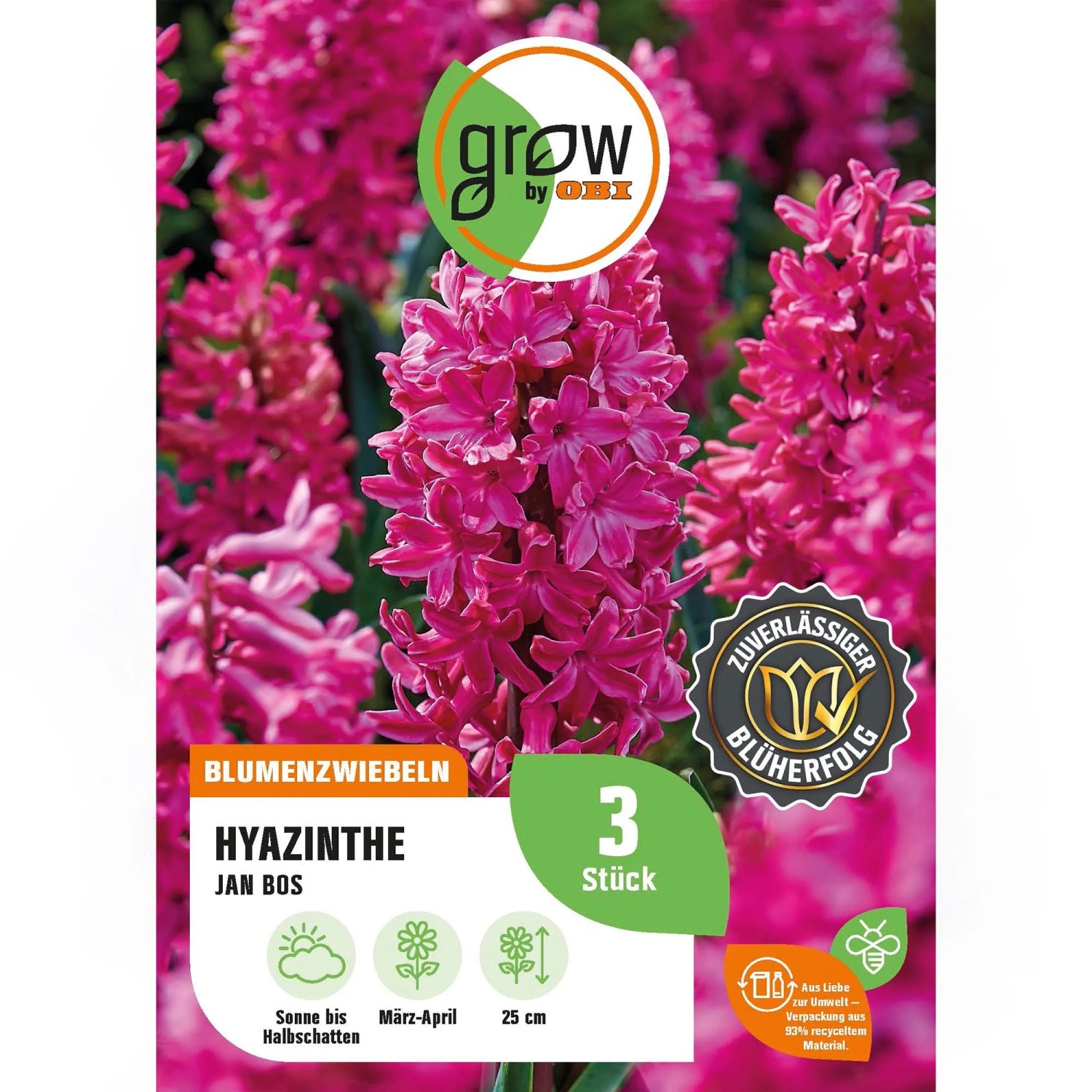 GROW by OBI Hyazinthe "Jan Bos" Rosa 25 cm Hyacinthus orientalis kaufen bei OBI