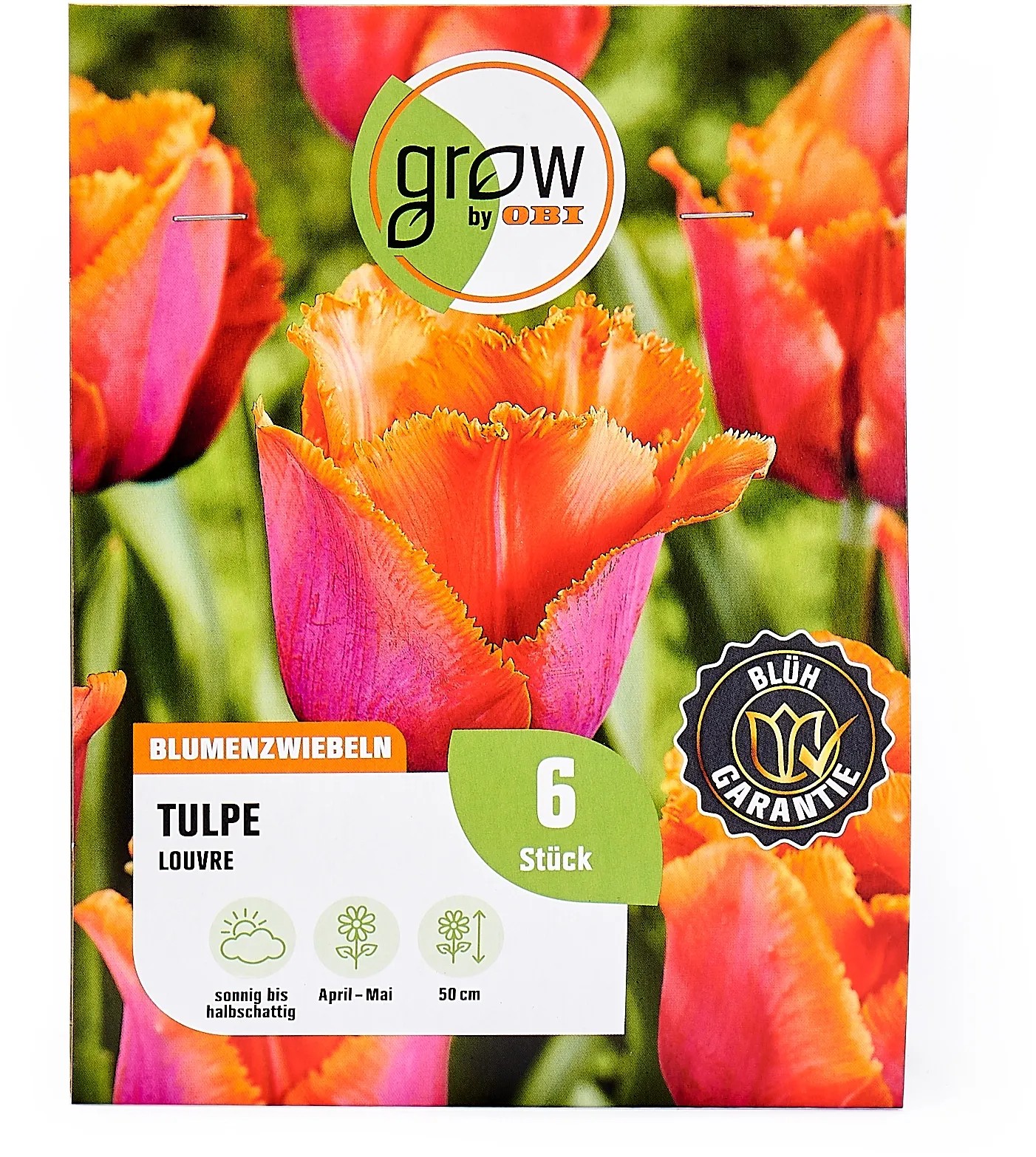GROW by OBI Tulpen-Blumenzwiebel Rosa-Orange "Louvre" 6 Stück Tulipa ...