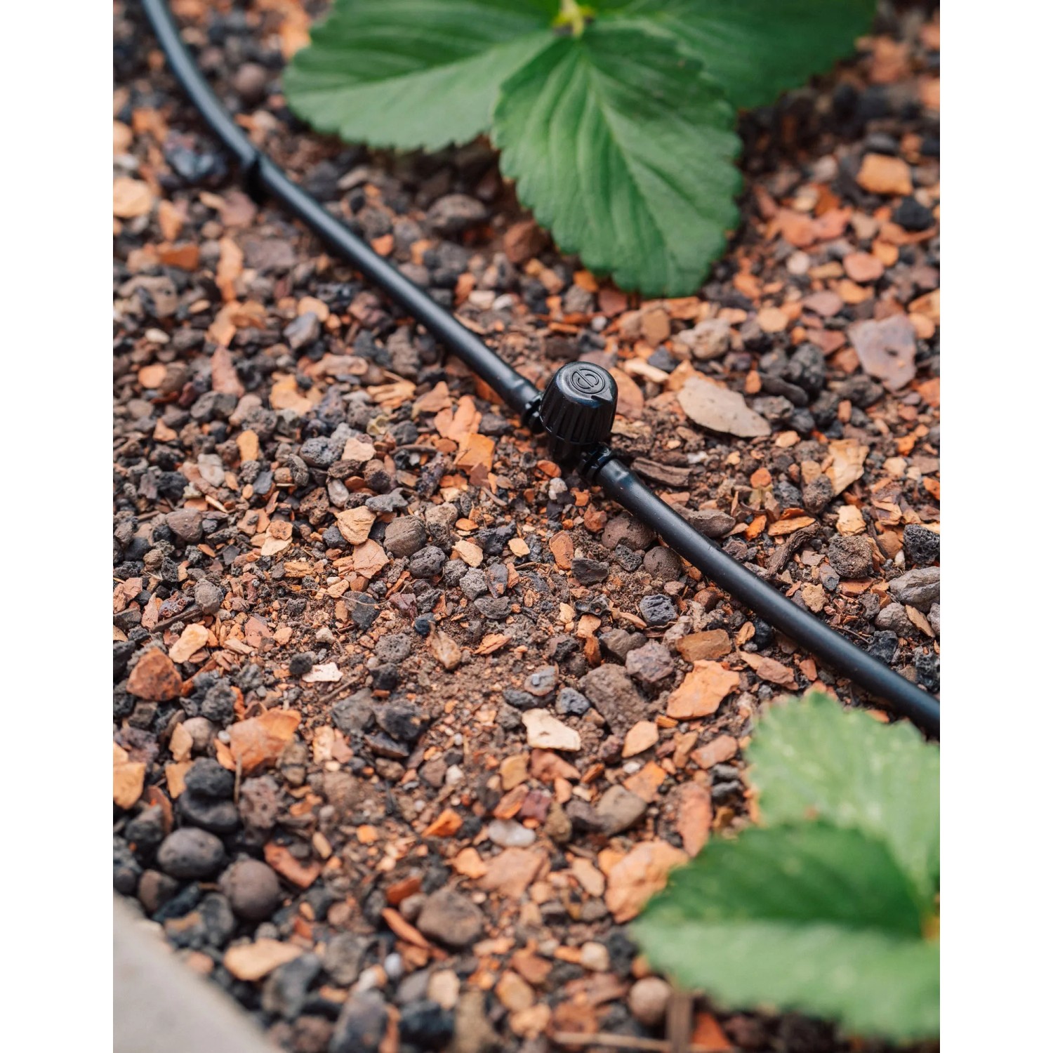 Geka Drip Set Bewässerungssystem Gemüse-/Blumenbeet Ø 6 mm kaufen bei OBI