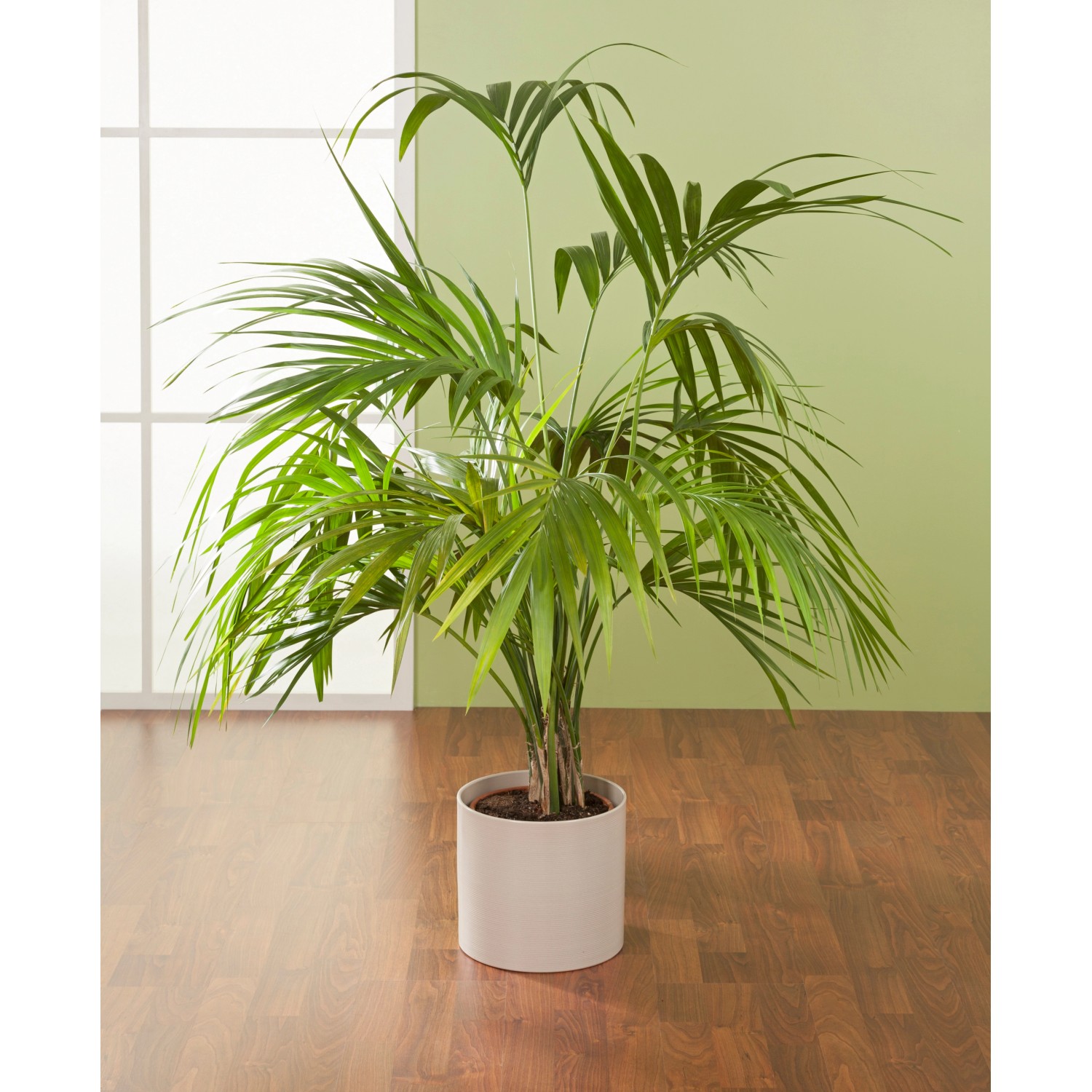 Scheurich Übertopf 828 Ø 19 cm Sesame kaufen bei OBI