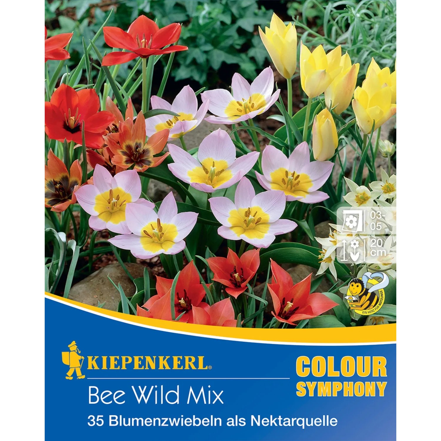 Kiepenkerl Blumenzwiebeln Colour Symphony "Bee Wild Mix" 35 Stück ...