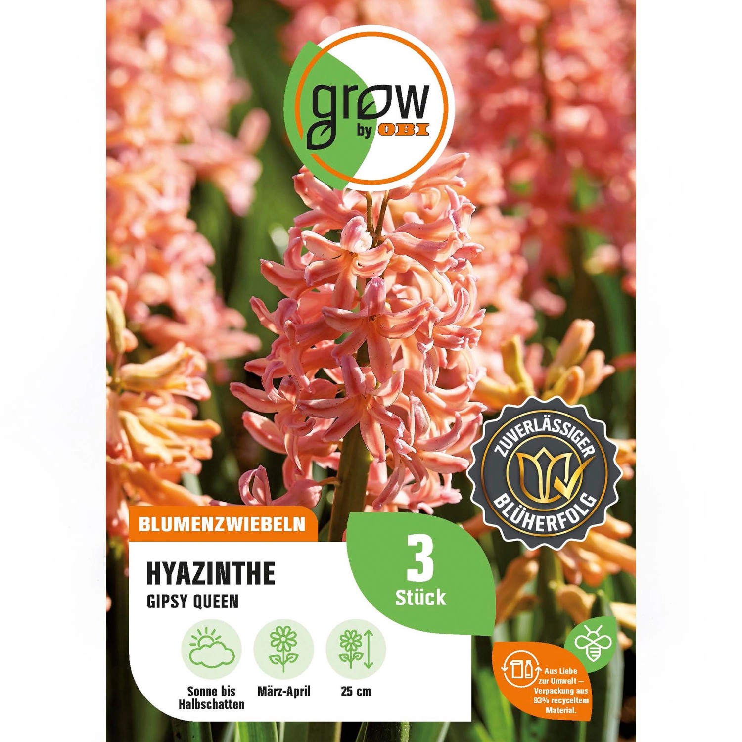 GROW by OBI Hyazinthe "Gipsy Queen" Orange 25 cm Hyacinthus orientalis kaufen bei OBI