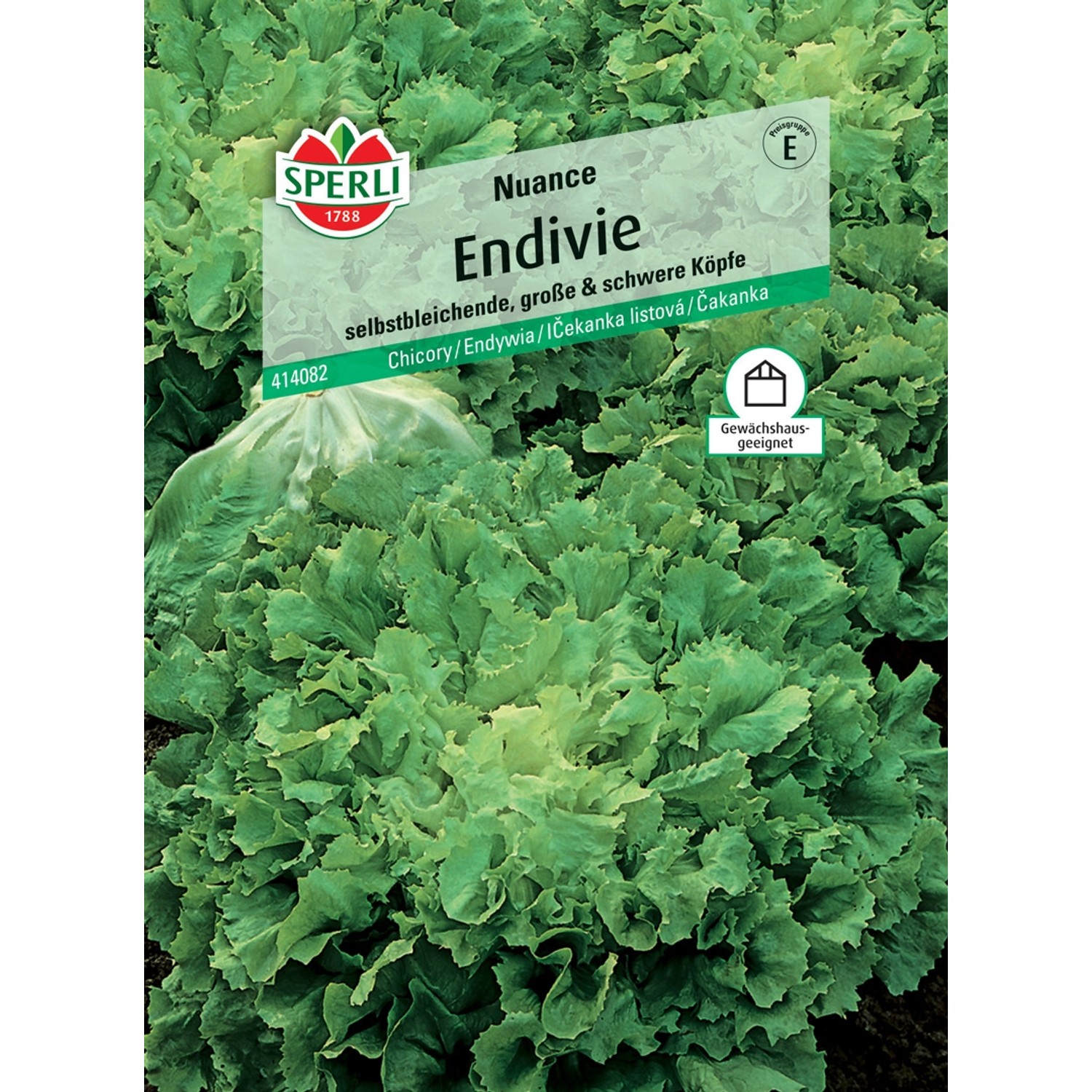Sperli Endivie Nuance kaufen bei OBI