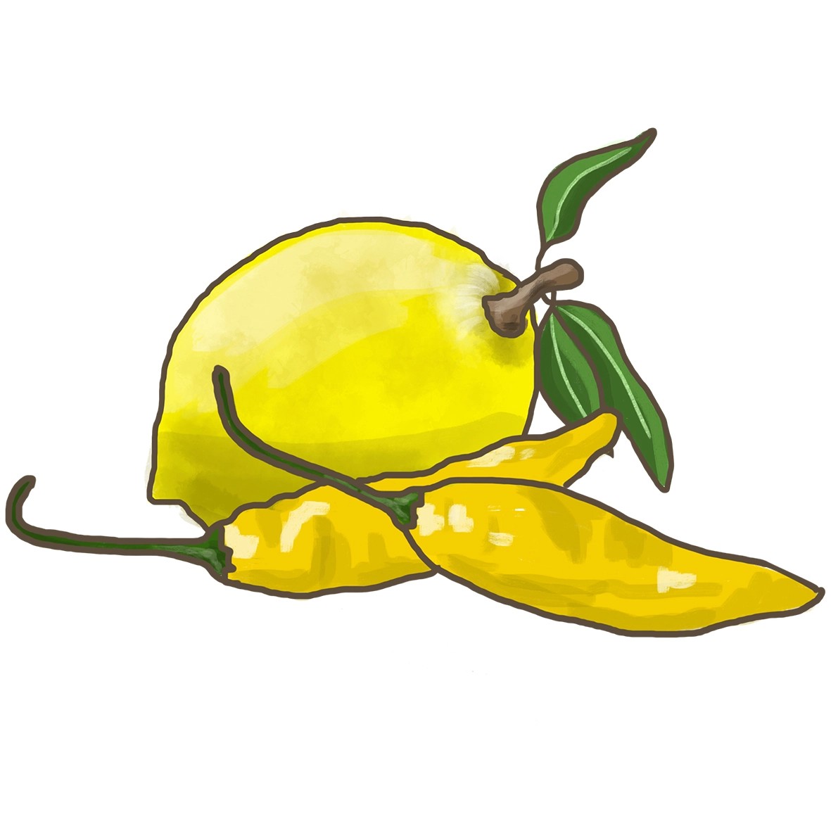 Blu Bio-Chili "Lemon Drop" Topf-Ø ca. 12 cm Capsicum baccatum kaufen ...