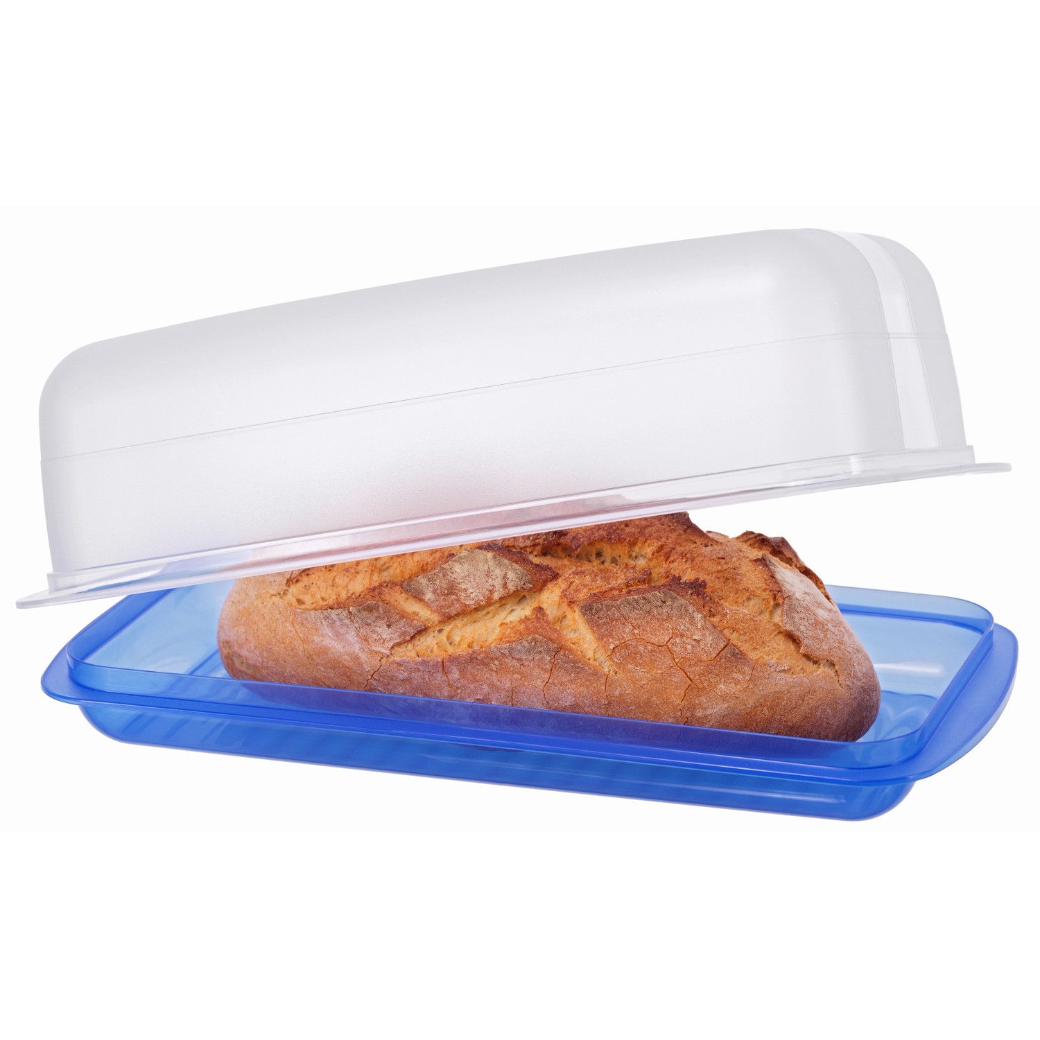 Rotho Brot-Box Natur-Blau kaufen bei OBI