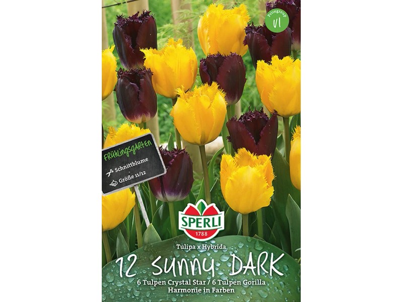 Sperli Tulpen "Sunny Dark" "Chrystal Star" "Gorilla" 12 Stück kaufen ...