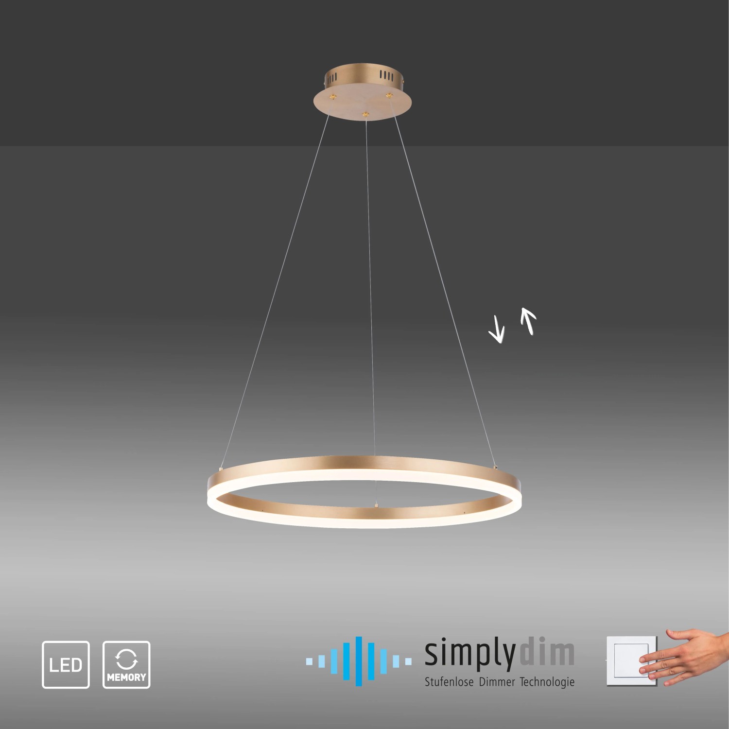 Paul Neuhaus Pendelleuchte Titus 1-flammig Messing matt Ø 40 cm kaufen ...