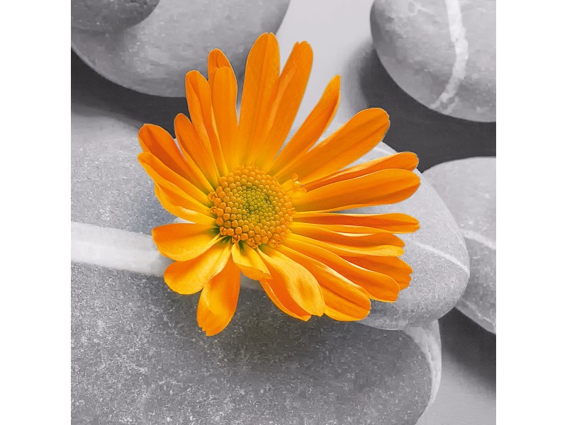 Eurographics Deco Glass Sunlight Couple I 20 cm x 20 cm kaufen bei OBI