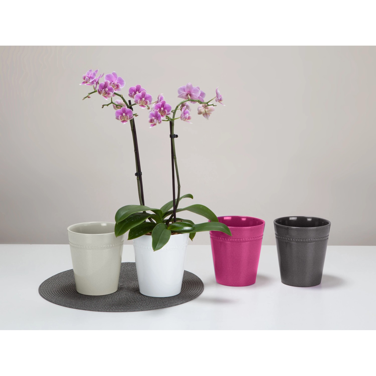 Scheurich Orchideengefäß 662 Ø 12,8 cm Sesame kaufen bei OBI