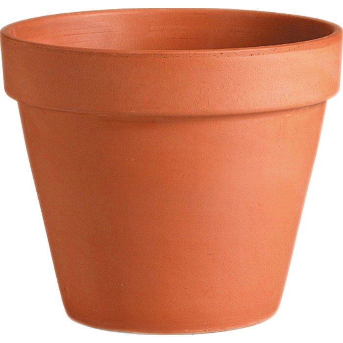Erstaunlich Obi Terracotta Topf Ebenbild