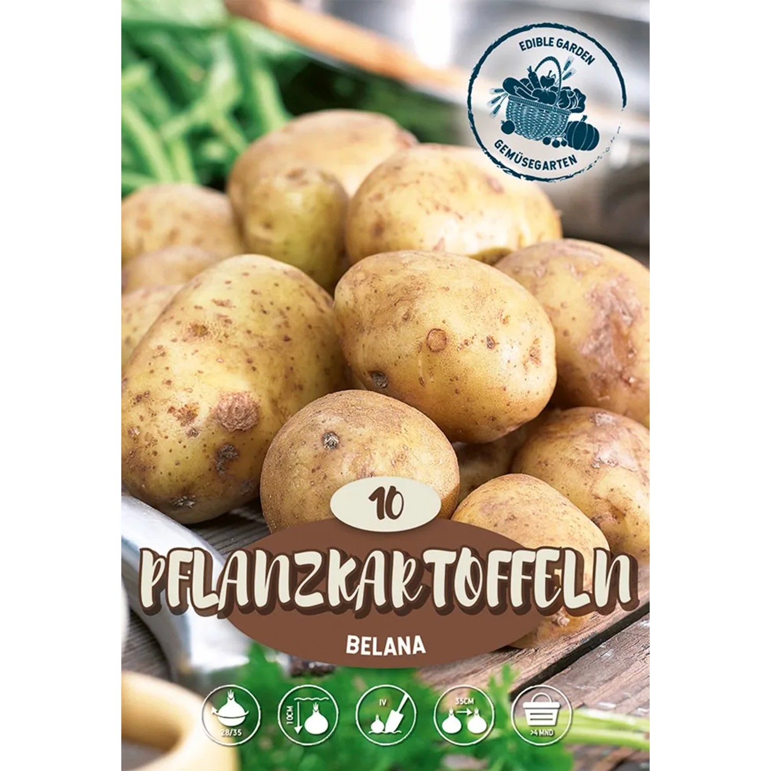 Pflanzkartoffeln "Belana" kaufen bei OBI