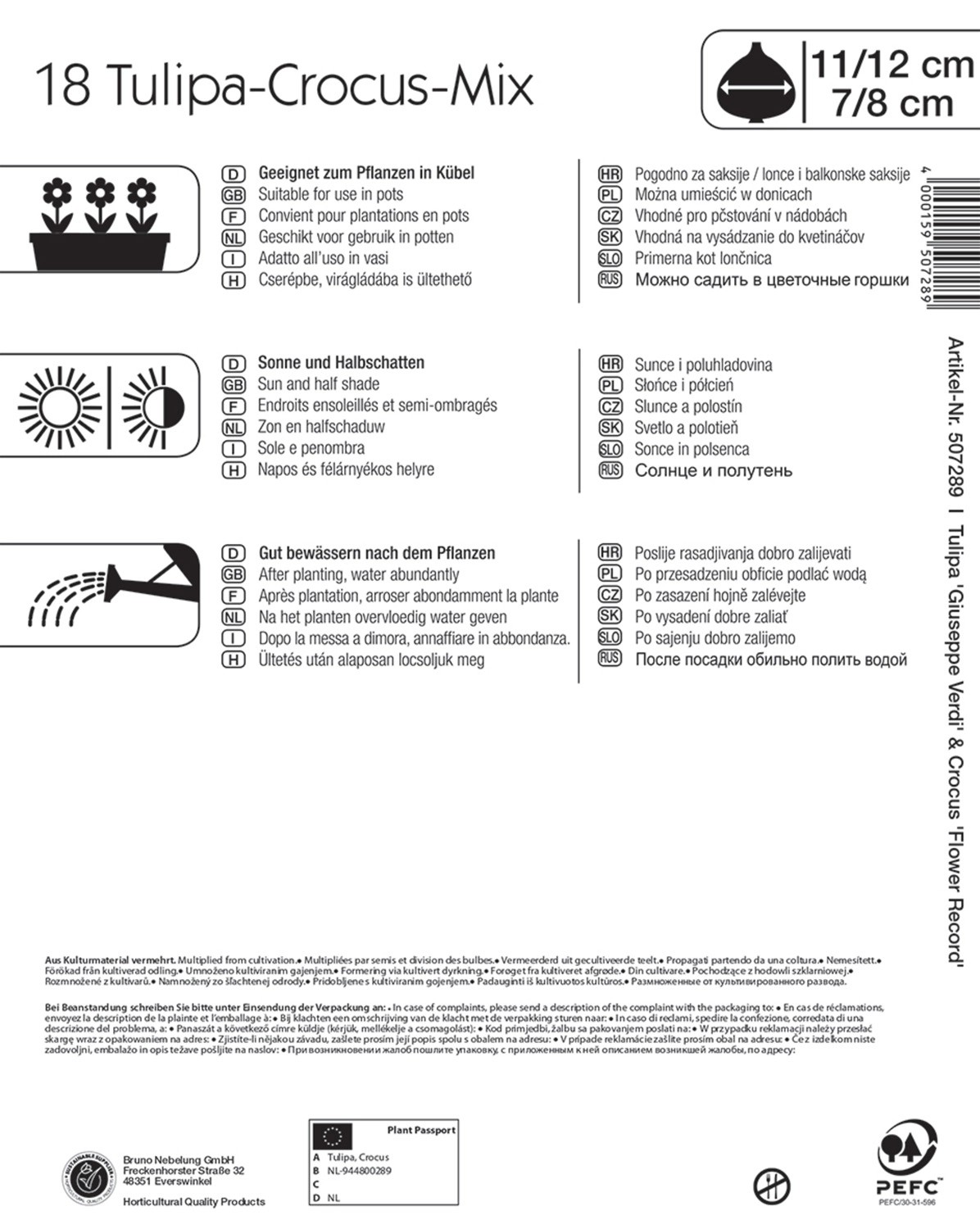 Kiepenkerl Blumenzwiebeln Tulpe-Krokus Mix Mega-Pack "Spacy Spring" 18 Stück kaufen bei OBI