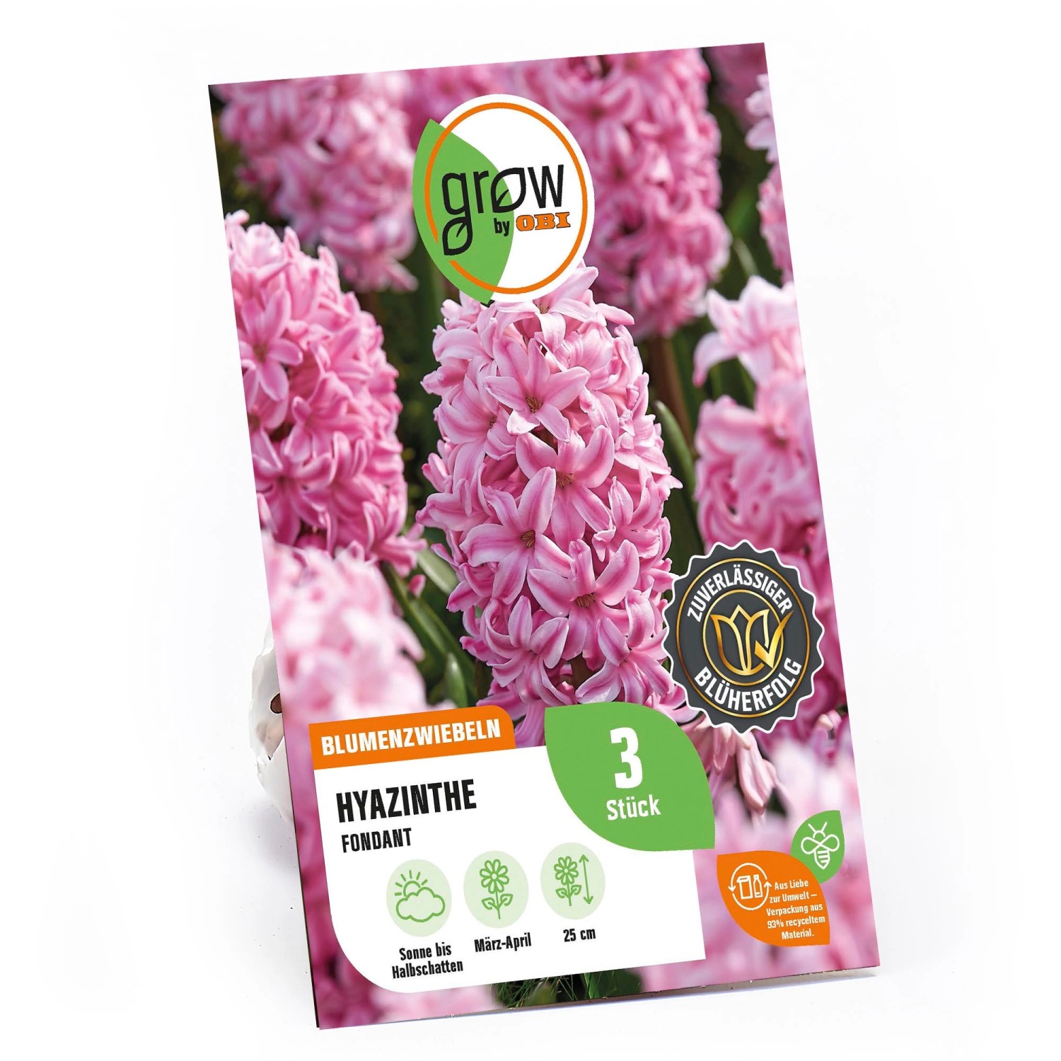 GROW by OBI Hyazinthe Fondant Rosa 3 Stück Hyacinthus orientalis Fondant kaufen bei OBI