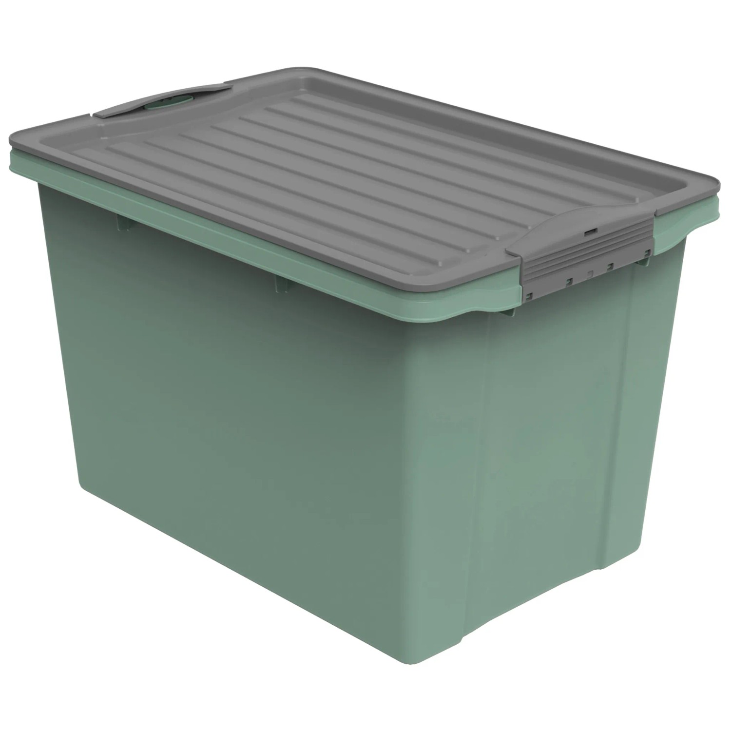 Rotho Stapelbox Compact A4 Hoch 19 l Mistletoe Green kaufen bei OBI