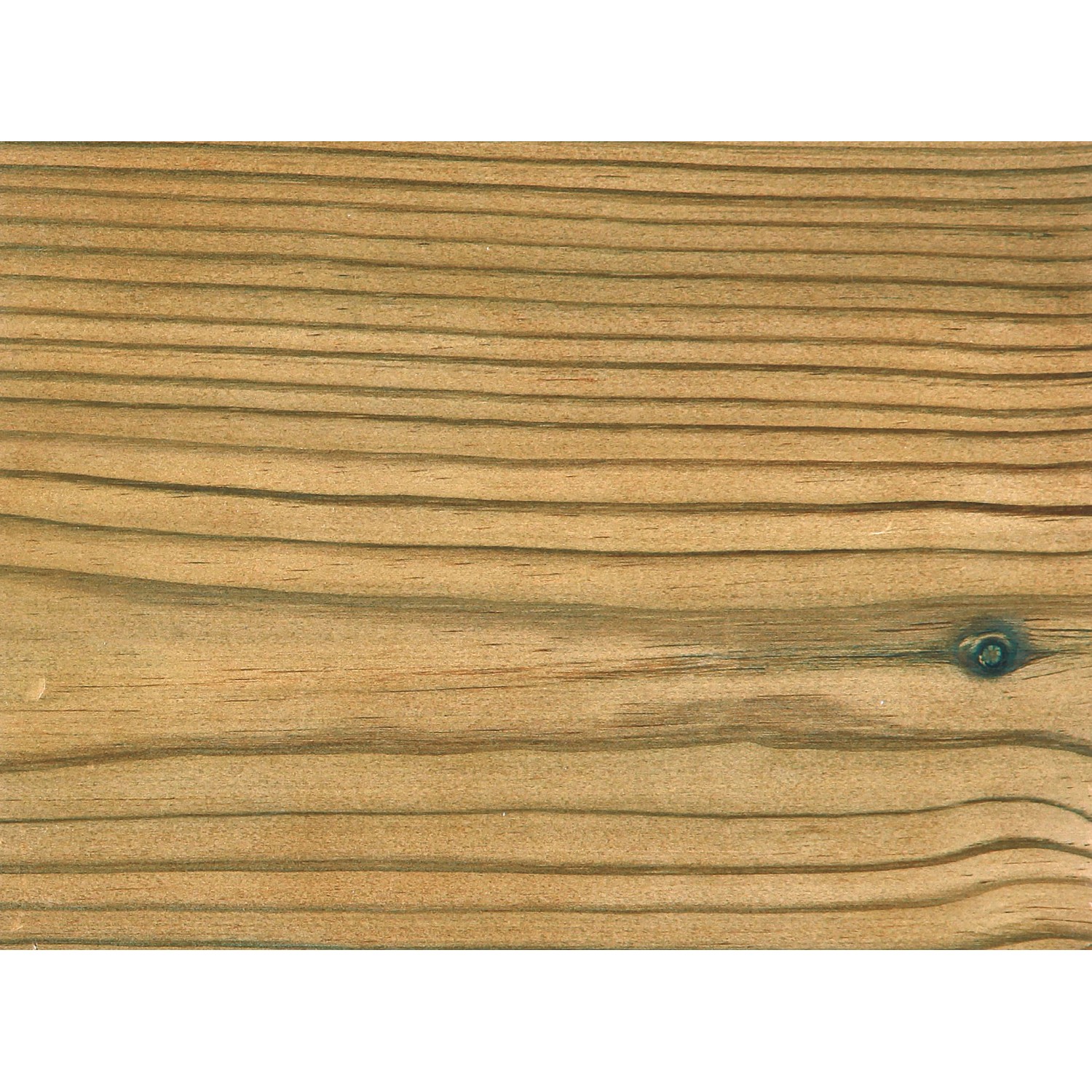 Abschluss Element Forsdal Kiefer kdi 199 cm x 14,1 cm x 4,5 cm kaufen ...