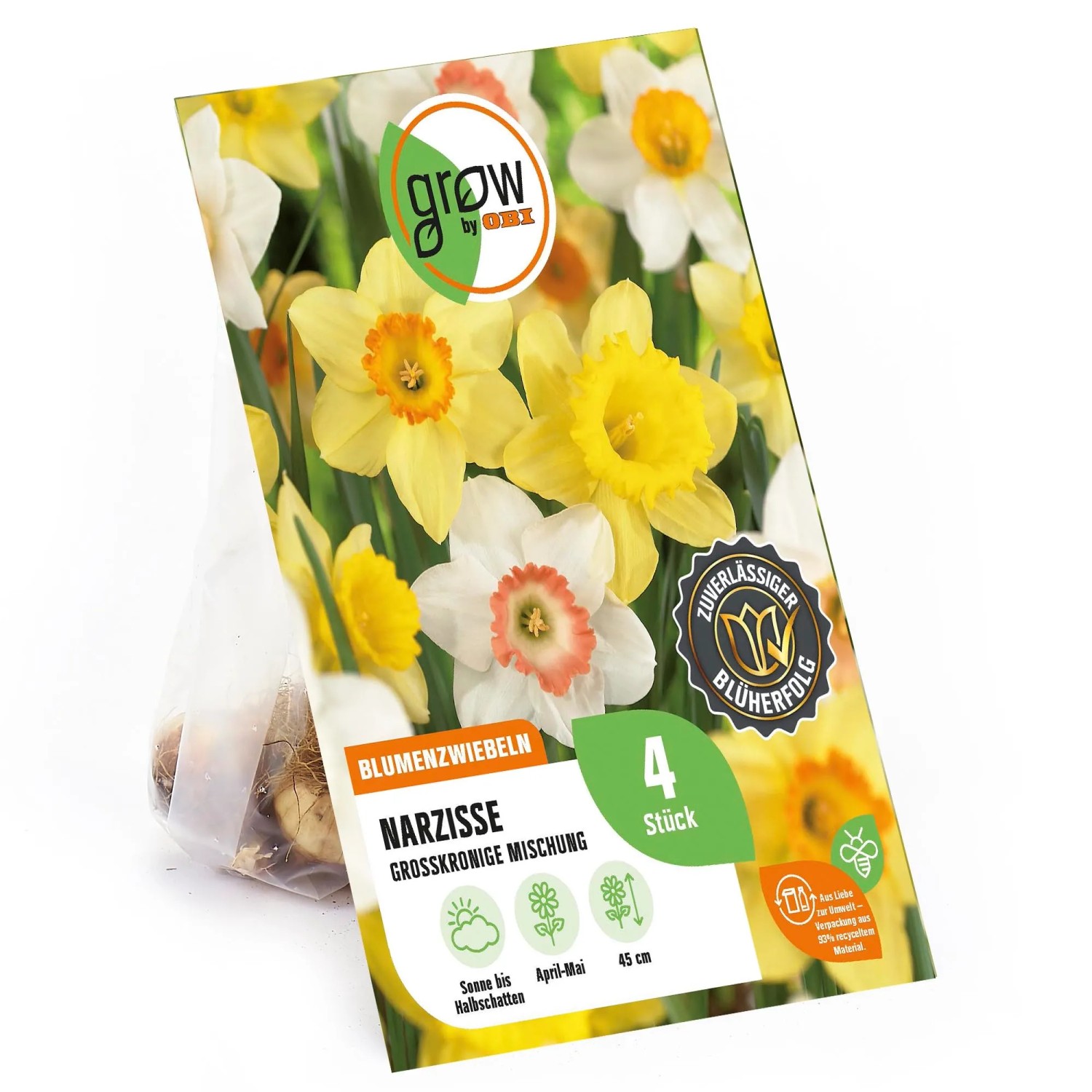 GROW by OBI Narzissen Mischung 4 Stück Narcissus large cupped Mixed ...