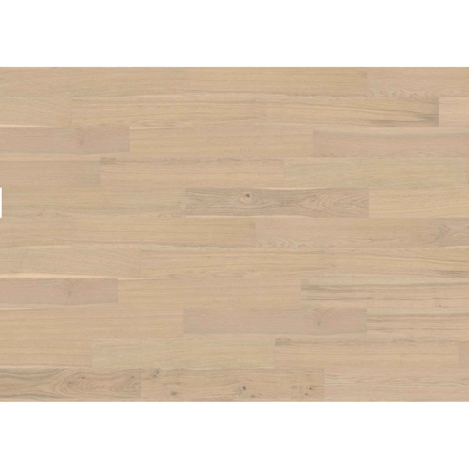 Living by HARO Parkett Landhausdiele 2V Eiche Weiß Strukturiert Naturöl ...