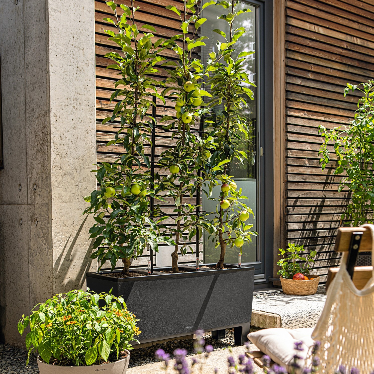 Lechuza Pflanzgefäß Trio Stone 40 Steingrau 130 cm x 42 cm kaufen bei OBI