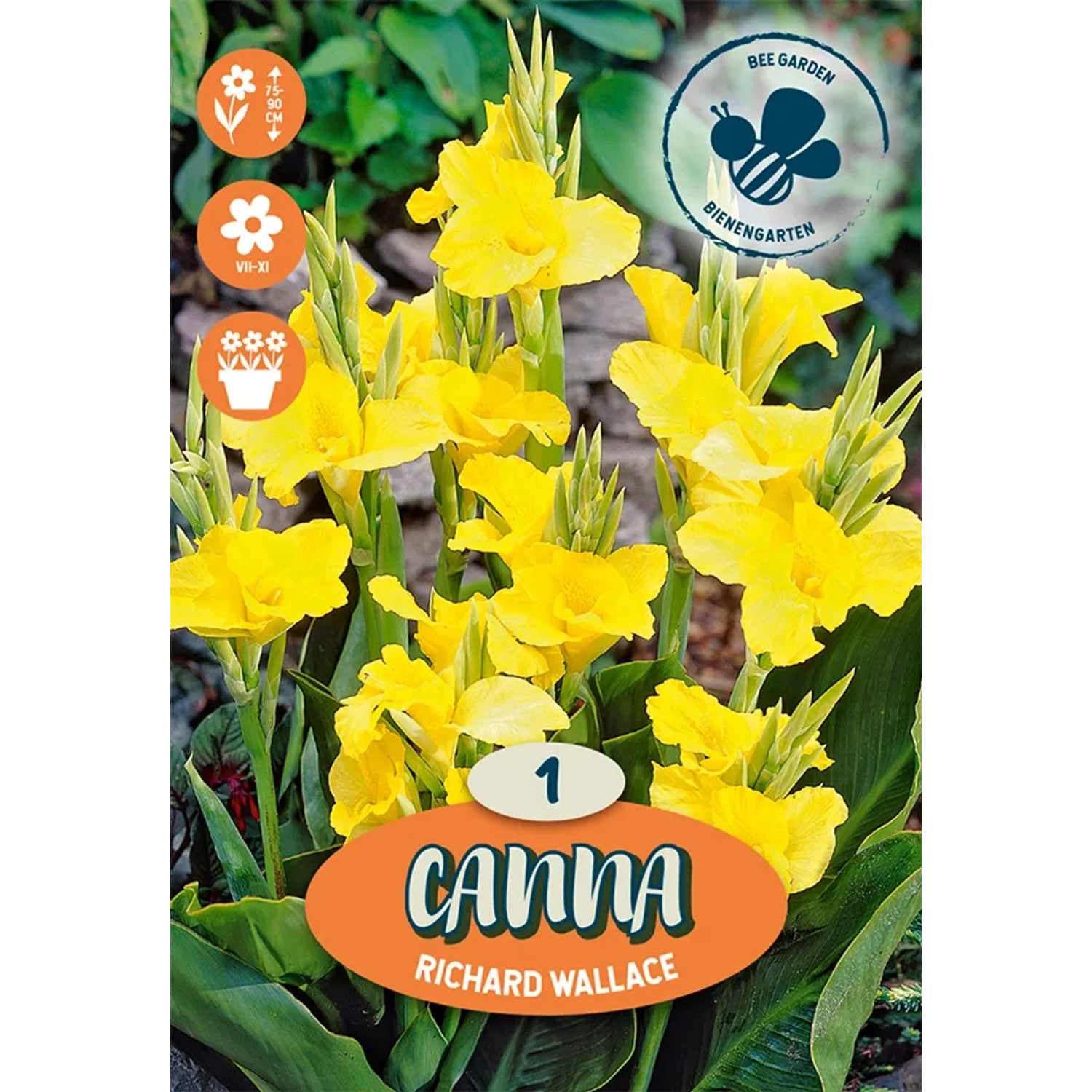 Canna Online Kaufen