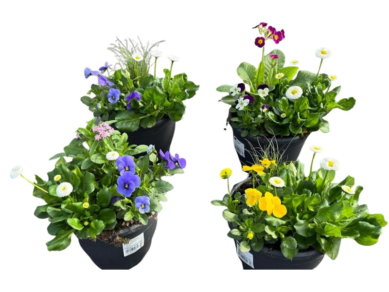 Spring Break Trio Topf-Ø ca. 19 cm kaufen bei OBI