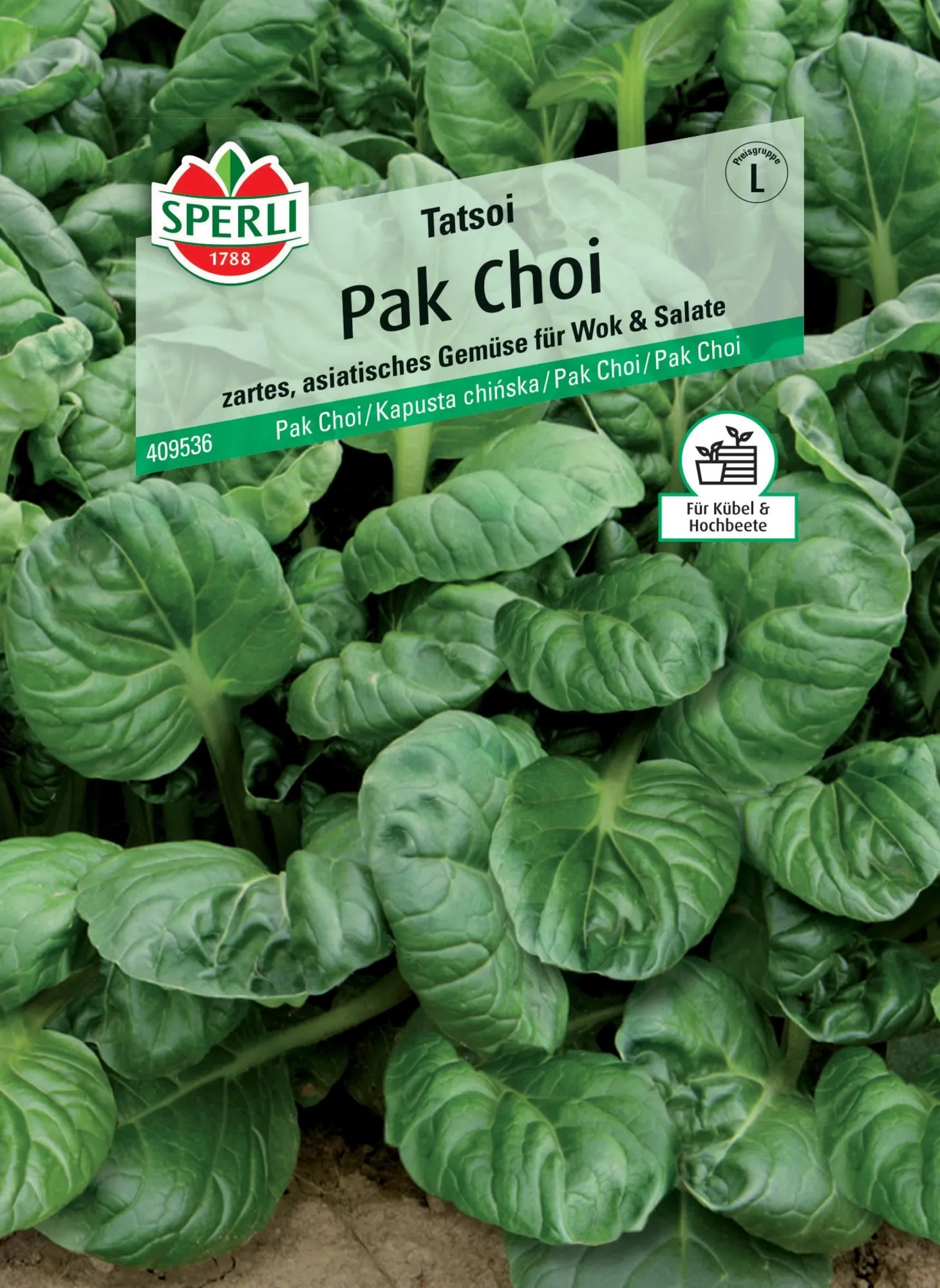 Sperli Pak Choi "Tatsoi" kaufen bei OBI