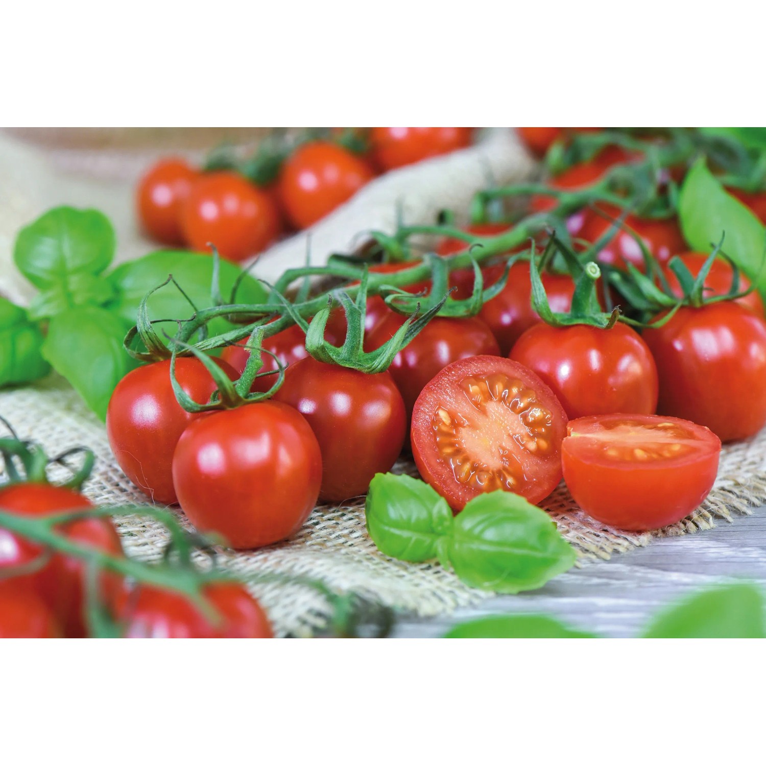 Grow by OBI Cherrytomate Rot Topf-Ø ca. 10,5 cm "Lycopersicon ...